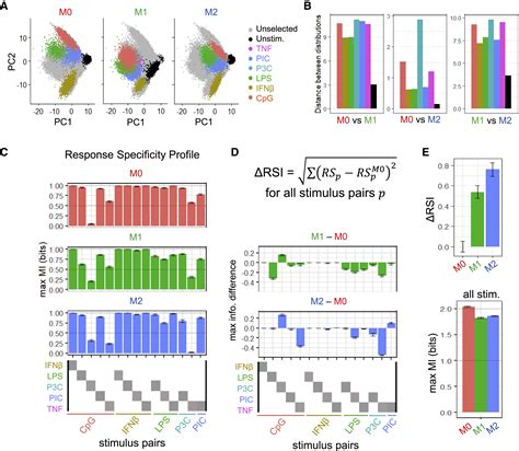 Quantifying Stimulus Response Specificity To Probe The Functional State