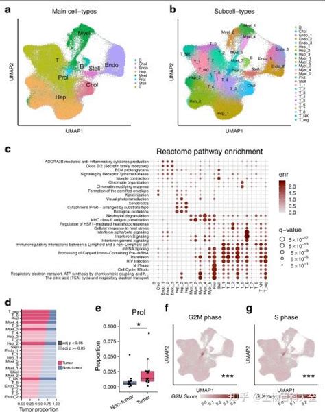 文献解读 Snrna Seq和scrna Seq鉴定影响生存的肝细胞癌相关细胞类型 知乎