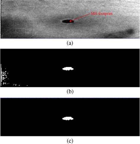 mh footprint detection a the 2 d projection image x y plane from