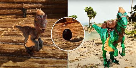 Ark Survival Ascended Breeding And Mutations Guide