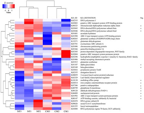Ijms Free Full Text Comparative Metagenomic Analysis Of Rhizosphere