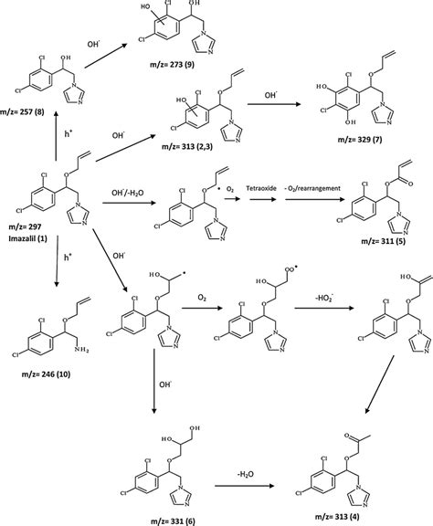 Tentative Degradation Pathway Of Imazalil Download Scientific Diagram