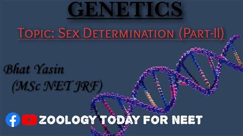 sex determination part ii genetics for neet 12th youtube