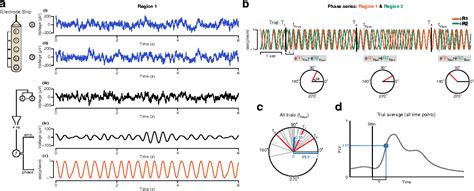 Figure 2 From Human Retrosplenial Cortex Displays Transient Theta Phase