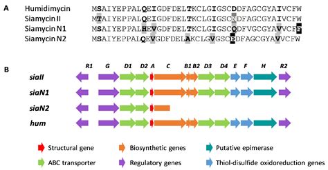Antibiotics Free Full Text Identification And Heterologous