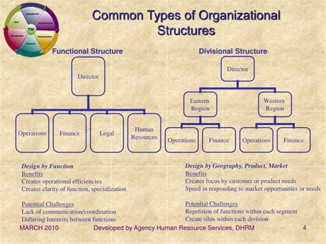 5 Types Of Organizational Structure