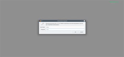 install and configure squid proxy server on ubuntu 20 04