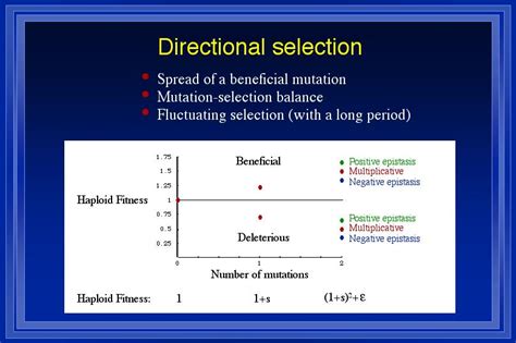 ppt slide