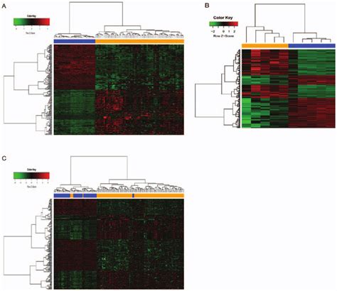 Hierarchical Clustering Heatmaps Of Differentially Expressed Genes