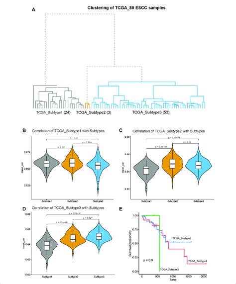 Validation Of The Generality Of Our Escc Subtypes Based On The Rna Seq