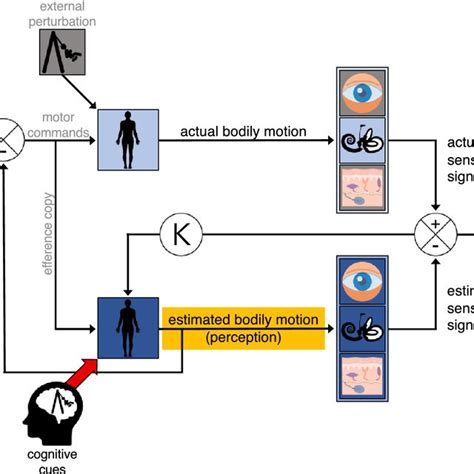 Motion Sickness Susceptibility Questionnaire Short Form Mssq Short