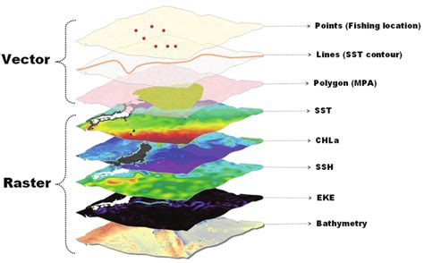 what is vector data model of gis images and photos finder