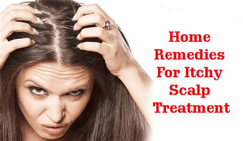 10 Best Home Remedies For Itchy Scalp Treatment Wellness Food Team