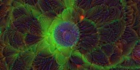 Deep Learning Allows For Cell Analysis Without Labeling The Scientist