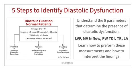 5 Steps To Identify Diastolic Dysfunction In Echo Cardioserv