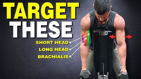 Top 6 Biceps Exercises For Thicker Arms Youtube