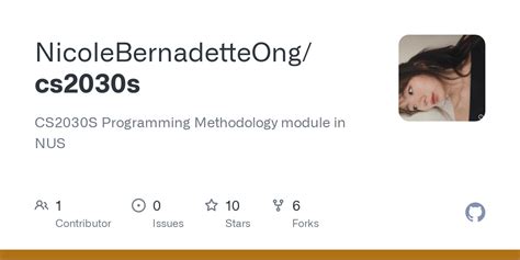 github nicolebernadetteong cs2030s cs2030s programming methodology