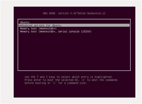 ubuntu usr bin sudo must be owned by uid 0 and have the setuid bit