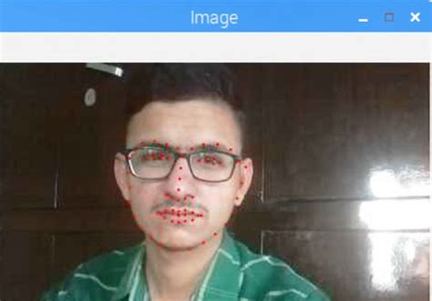 Facial Landmark Detection Simplified With Opencv Analytics Vidhya