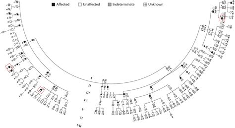 Whole Exome Sequencing Identifies A Causal Rbm20 Mutation In A Large