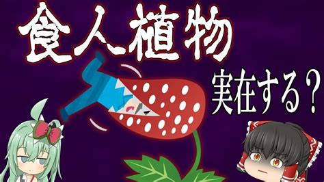 【ゆっくり解説】実在する 人を食べる食人植物【食虫植物tv】 Youtube