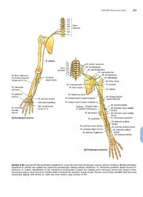 Bab 6 Ekstremitas Atas Haryahutamas Page 54 Flip Pdf Online