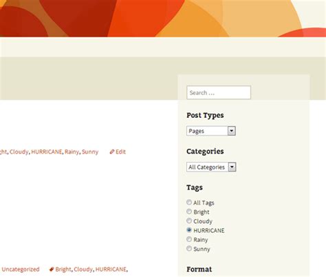 search and filter wordpress plugin