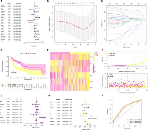 A The Univariate Cox Regression Analysis Was Applied To Evaluate The