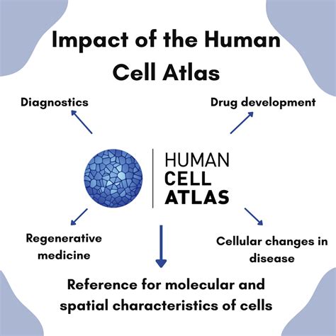 The Human Cell Atlas And Beyond An Introduction To Single Cell Data