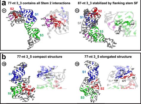 Alternative 3 3 And 3 5 Motifs A The 77 And 87 Nt 3 3 Pseudoknot