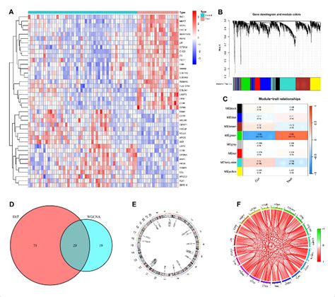 Figure 2 From Identification And Validation Of Disulfidptosis Related