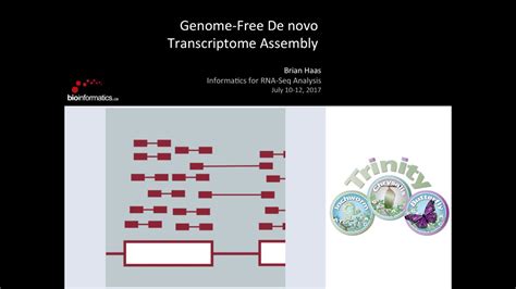 Genome Free De Novo Transcriptome Assembly Youtube