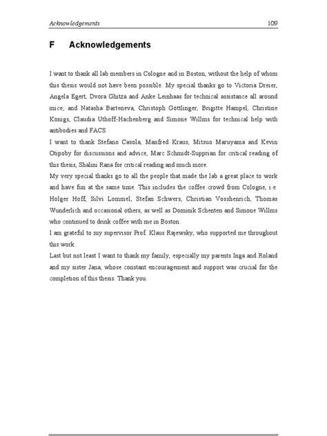 Acknowledgement Master Thesis Template