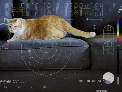 This Cat Video Is Out Of This World And Nasa Used A Laser To Beam It