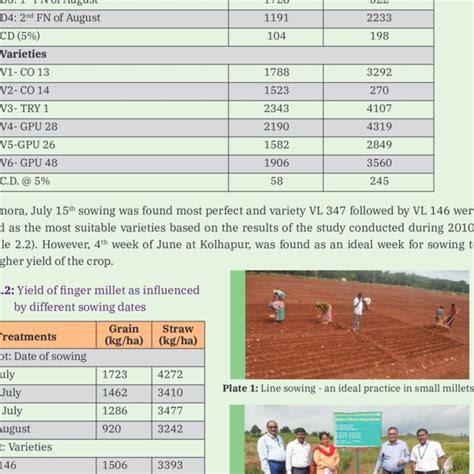 Yield O Nger Millet Varieties As Infuenced By Sowing Dates During