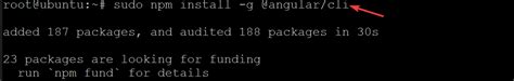 how to install angular on ubuntu vitux