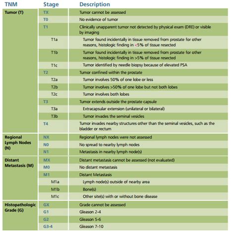 Urology Care Foundation What Is Prostate Cancer