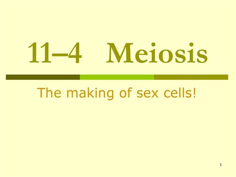 11–4 Meiosis The Making Of Sex Cells Ppt Download