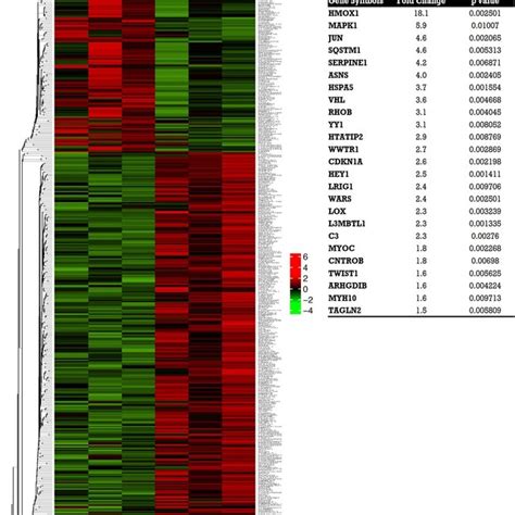 Heatmap And Hierarchical Clustering Of Microarray Profiles From The