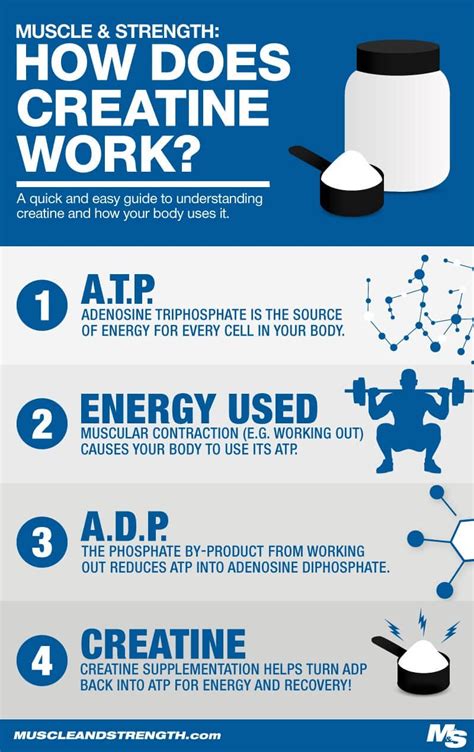 Creatine Monohydrate Benefits Side Effects Dosages And Faq Muscle