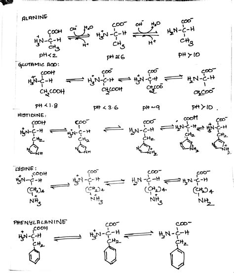 Solved Writing Dissociation Equations For Amino Acids Write Equations
