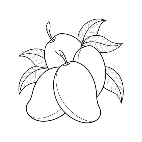 Libro Para Colorear Frutas De Mango Con Hojas Realistas Vector Premium