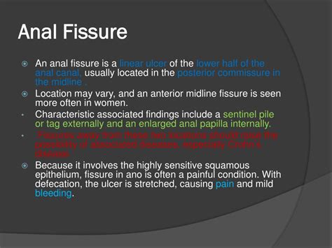 Ppt The Anus And Rectum Powerpoint Presentation Free Download Id