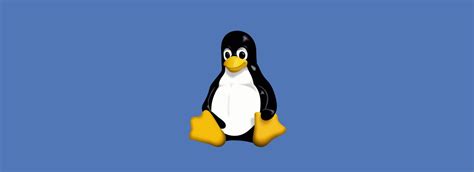 cron command in linux with examples lpi central