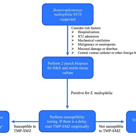 Diagnostic And Treatment Algorithm For The Patient With Suspected S