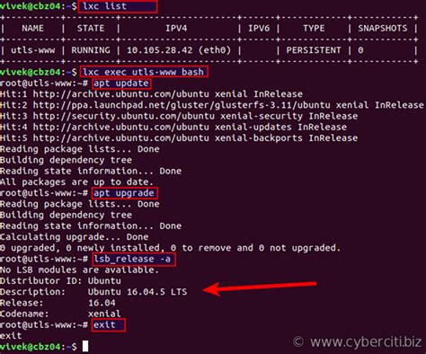 how to update lxd container ubuntu image from 16 04 to 18