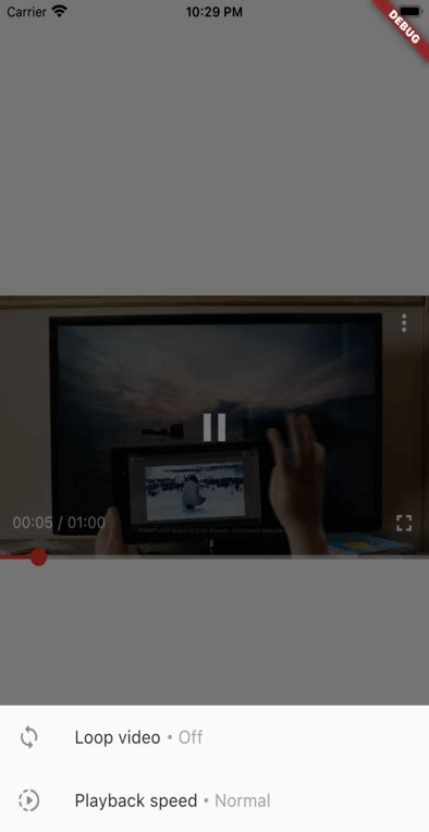 pod player dart api docs