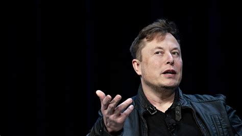 El Mono Con Implante Cerebral De Elon Musk Que Juega Videojuegos Perfil