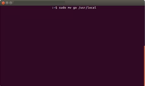 getting started with go in ubuntu linux golang developer tips