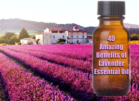 40 Amazing Health Benefits Of Lavender Essential Oil